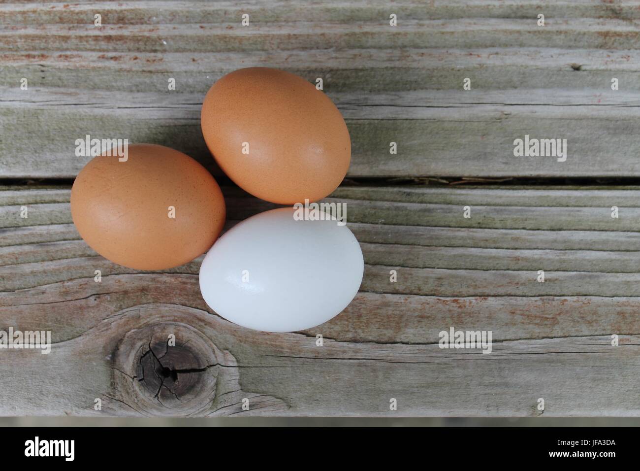 farm fresh eggs Stock Photo - Alamy