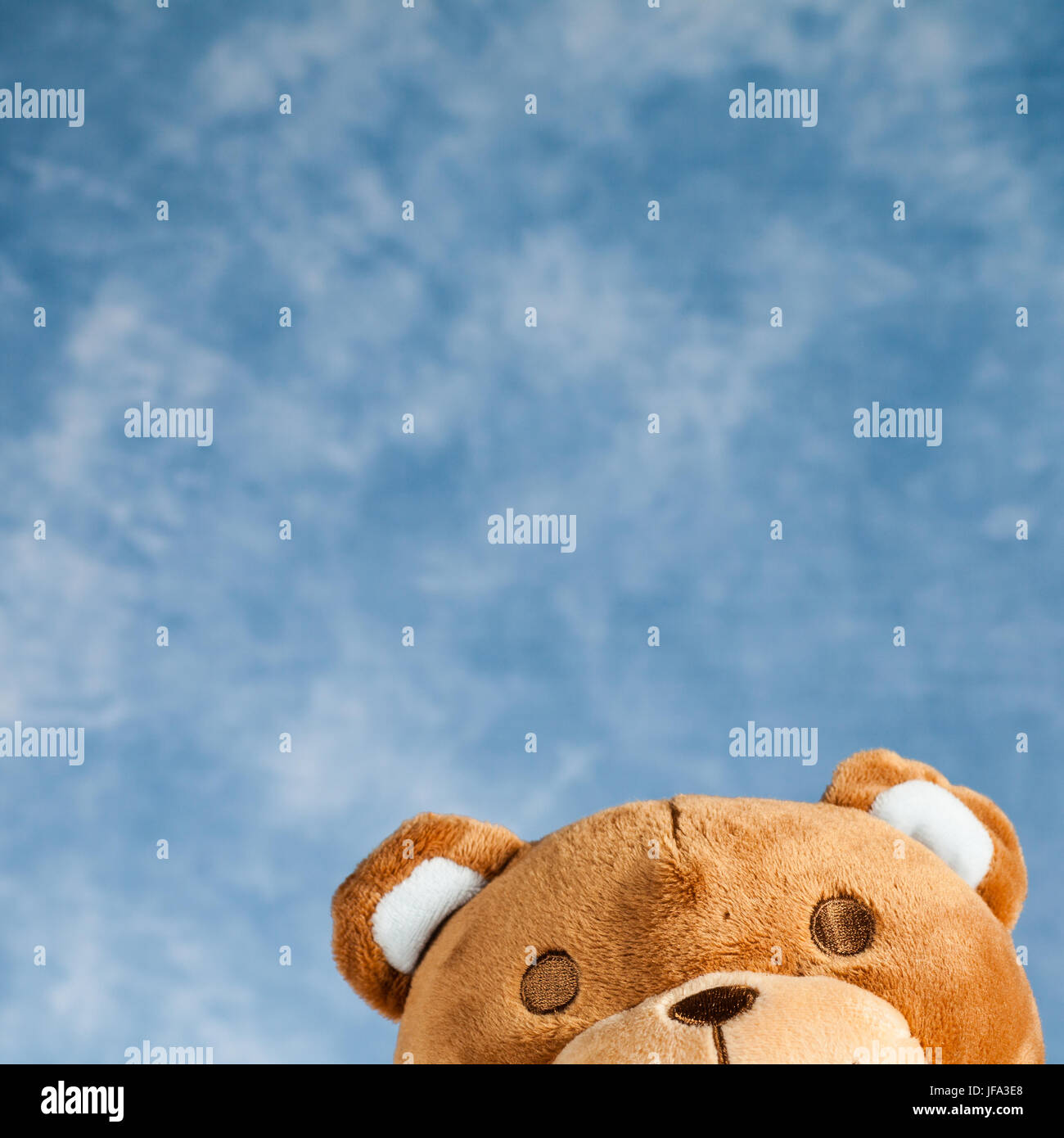 Lovely Teddy Bear Stock Photo - Alamy