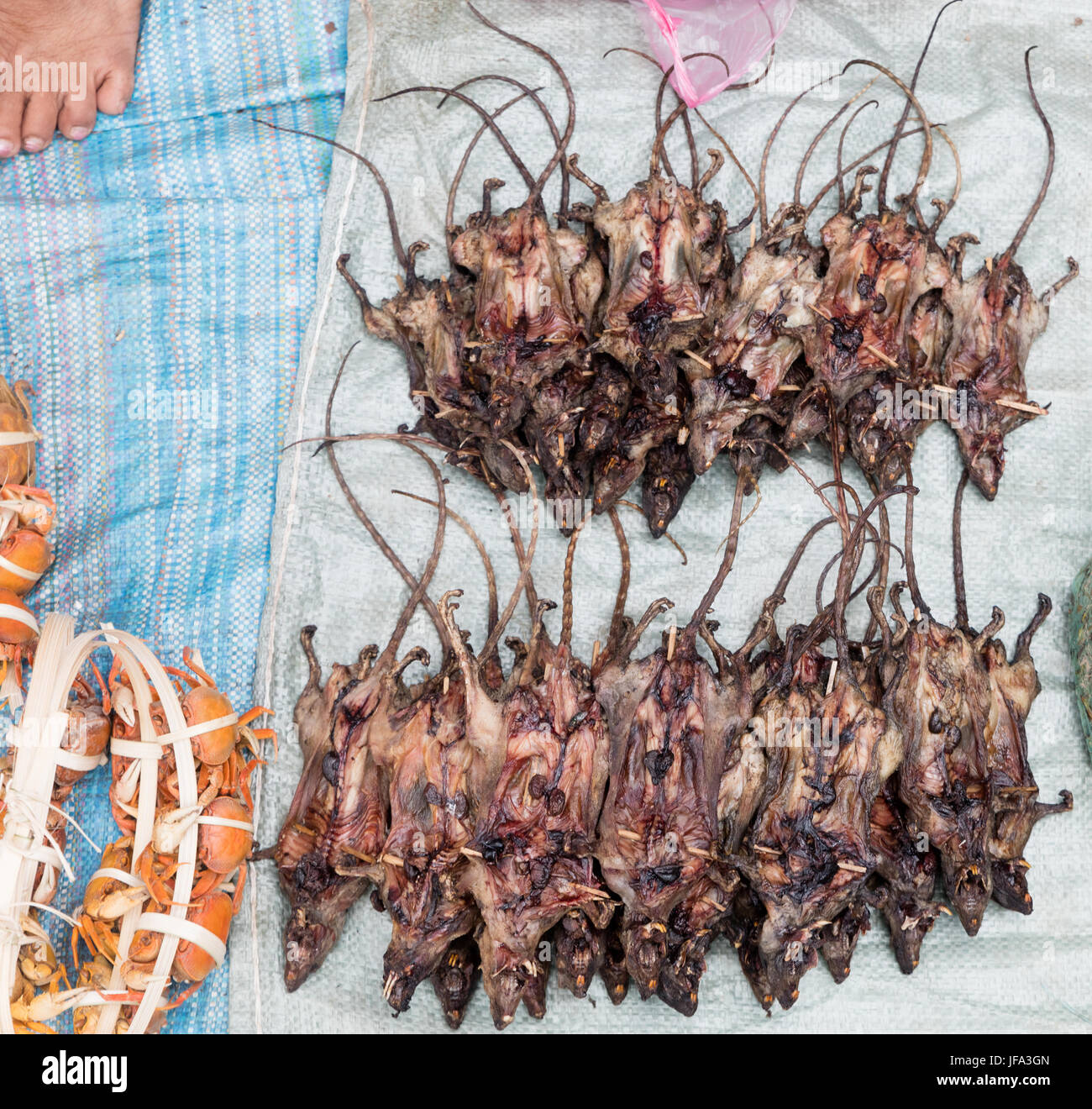 Roasted rats hi-res stock photography and images - Alamy