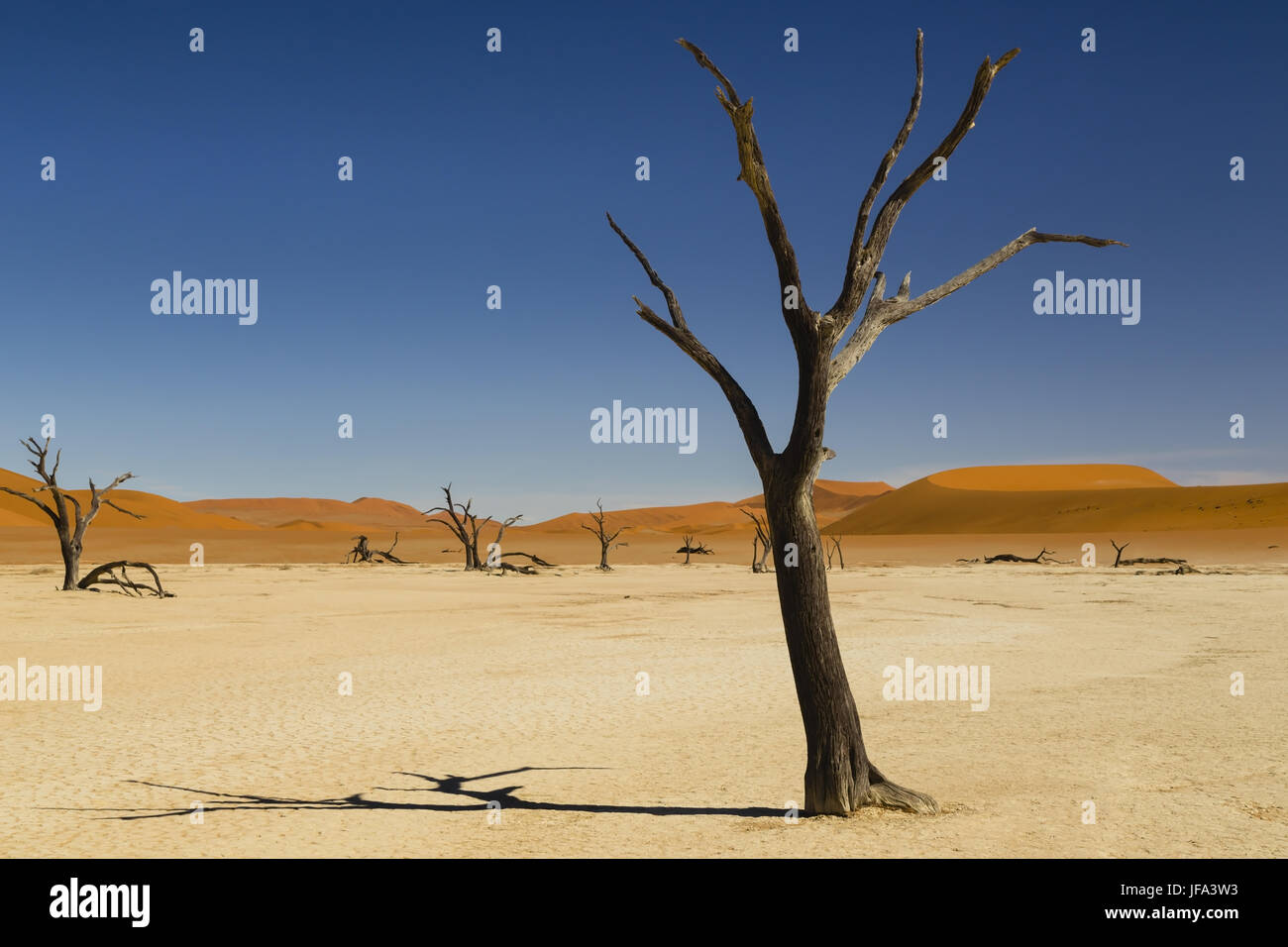 Deadvlei in Namib, Namibia, Africa Stock Photo - Alamy