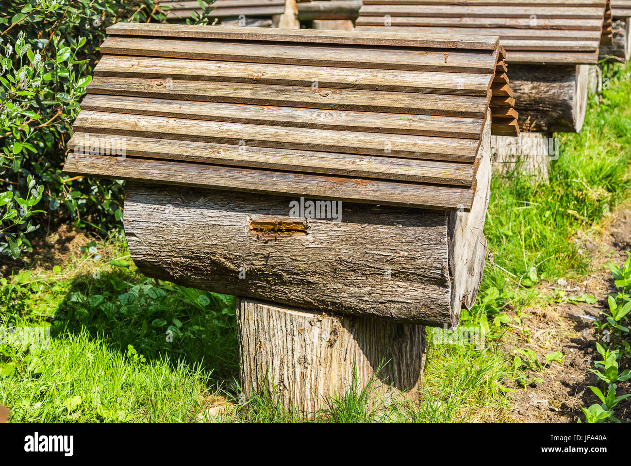 Wooden beehive hi-res stock photography and images - Alamy