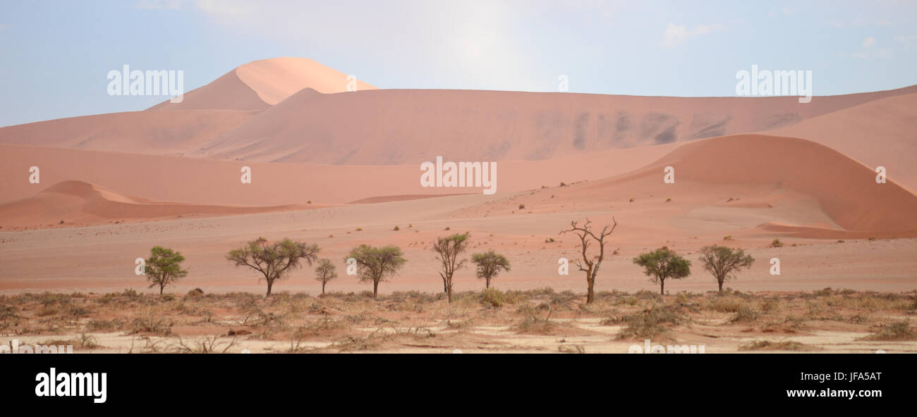 Namib dunes fog hi-res stock photography and images - Alamy