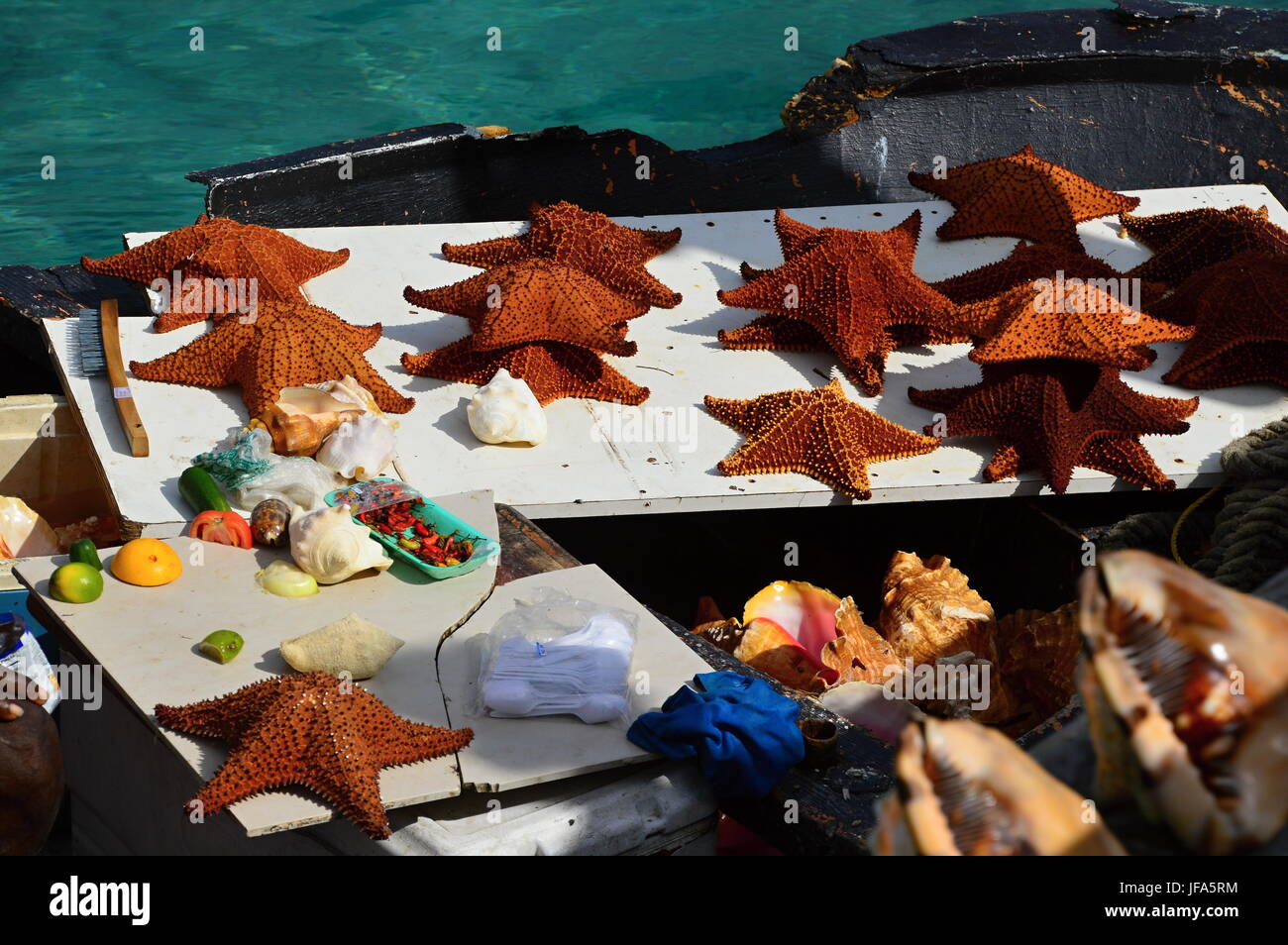 Bahamas beach shells hi-res stock photography and images - Alamy