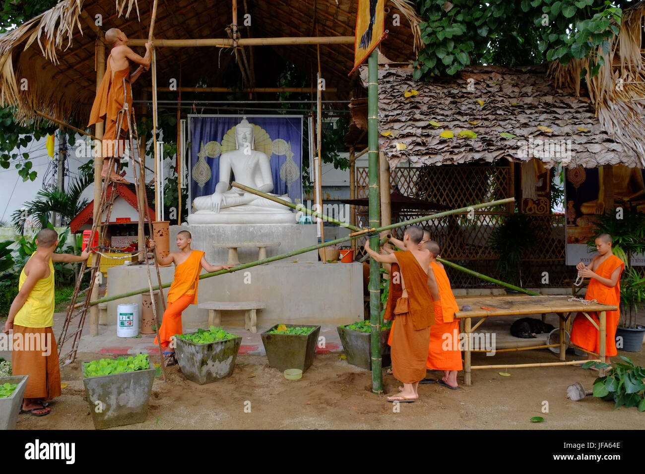 Thai buddhist monks engaged in various work, social and spiritual ...