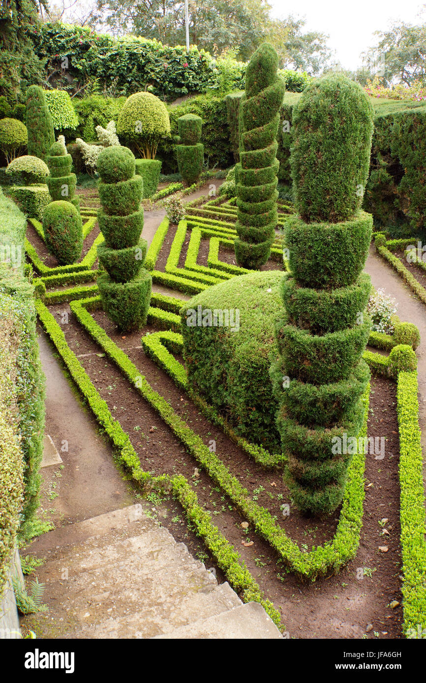topiary in the botanical garden Stock Photo - Alamy