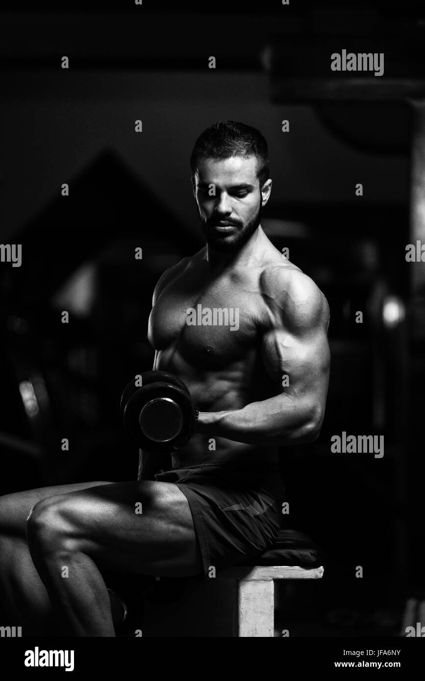 Model Working Out Biceps In A Gym On Bench - Dumbbell Concentration ...