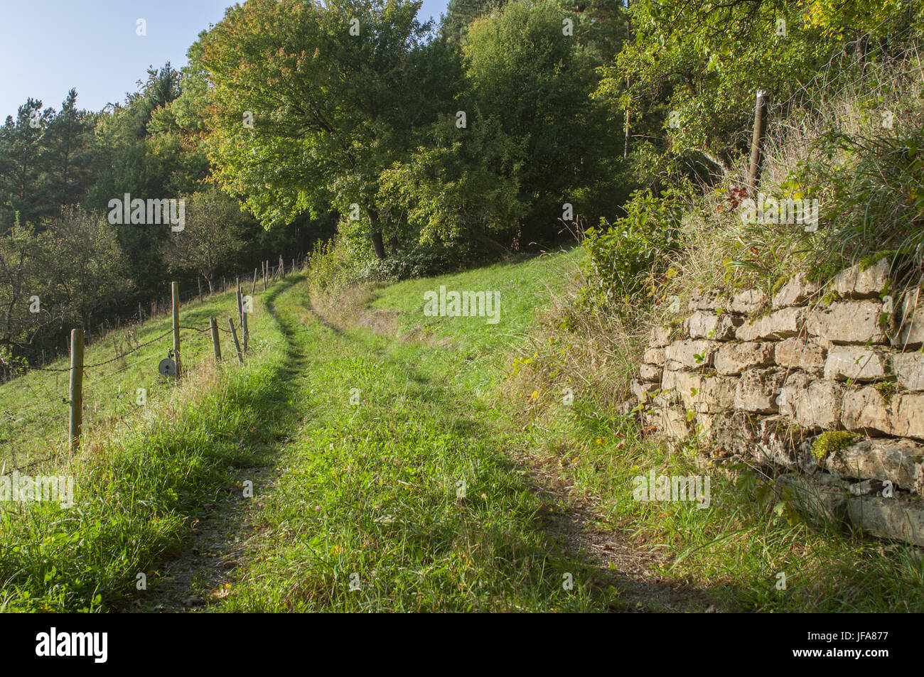 Hiking trail above Braunsbach, Germany Stock Photo - Alamy