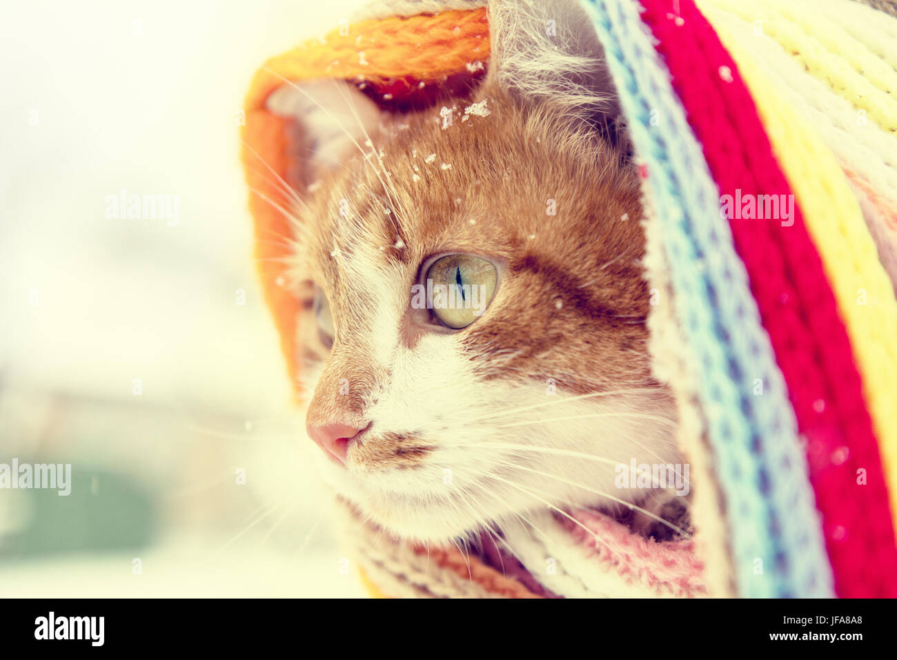 Orange white checkered background hi-res stock photography and images ...