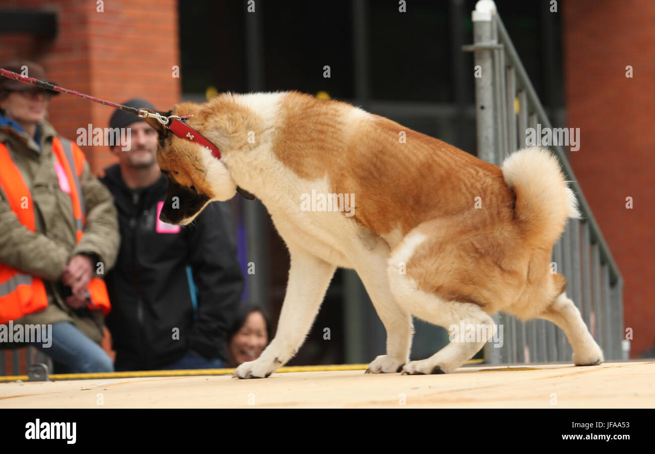Credit: Gerard Noonan/Alamy Live News Stock Photo - Alamy