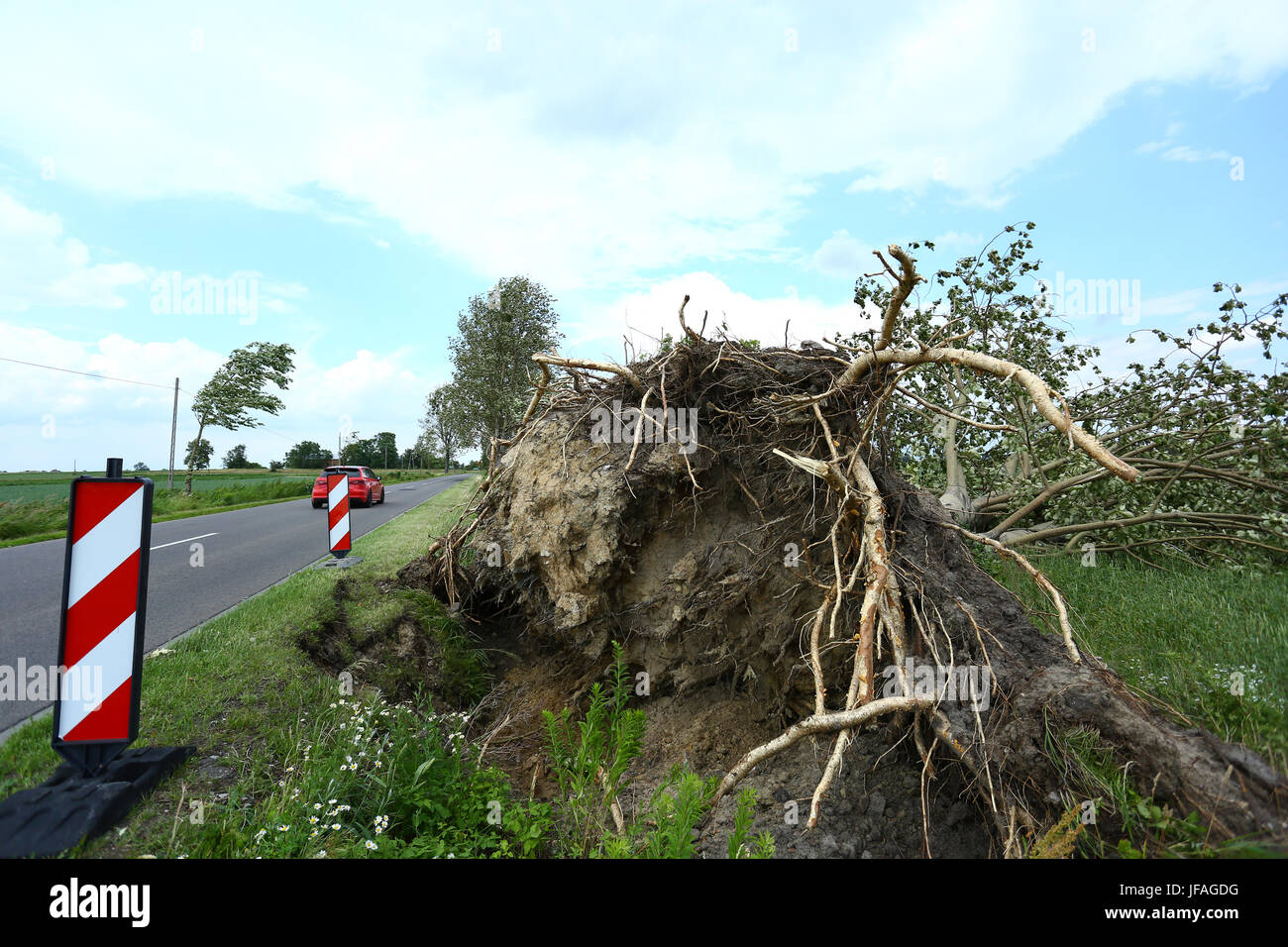 Mazovia, Poland. 30th June, 2017. Storm unrooted trees in Mazovia ...