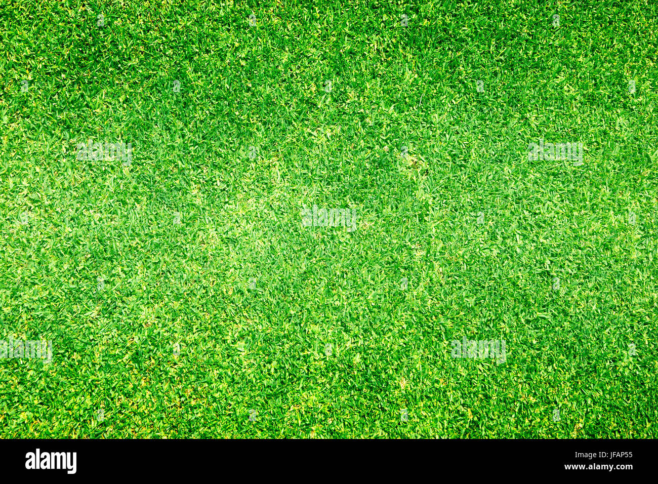 grass background Golf Courses green lawn pattern textured background ...