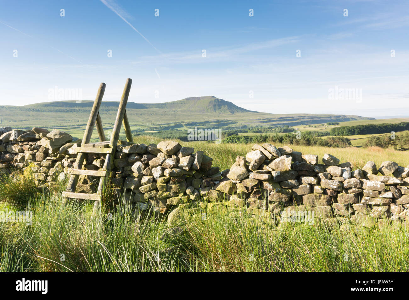 The 3 peaks path towards Ingleborough Stock Photo - Alamy
