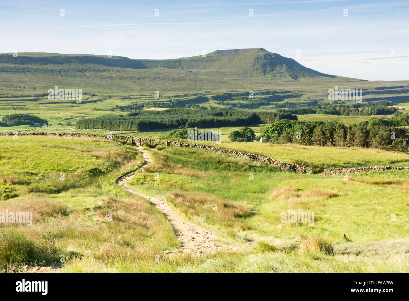 The 3 peaks path towards Ingleborough Stock Photo - Alamy