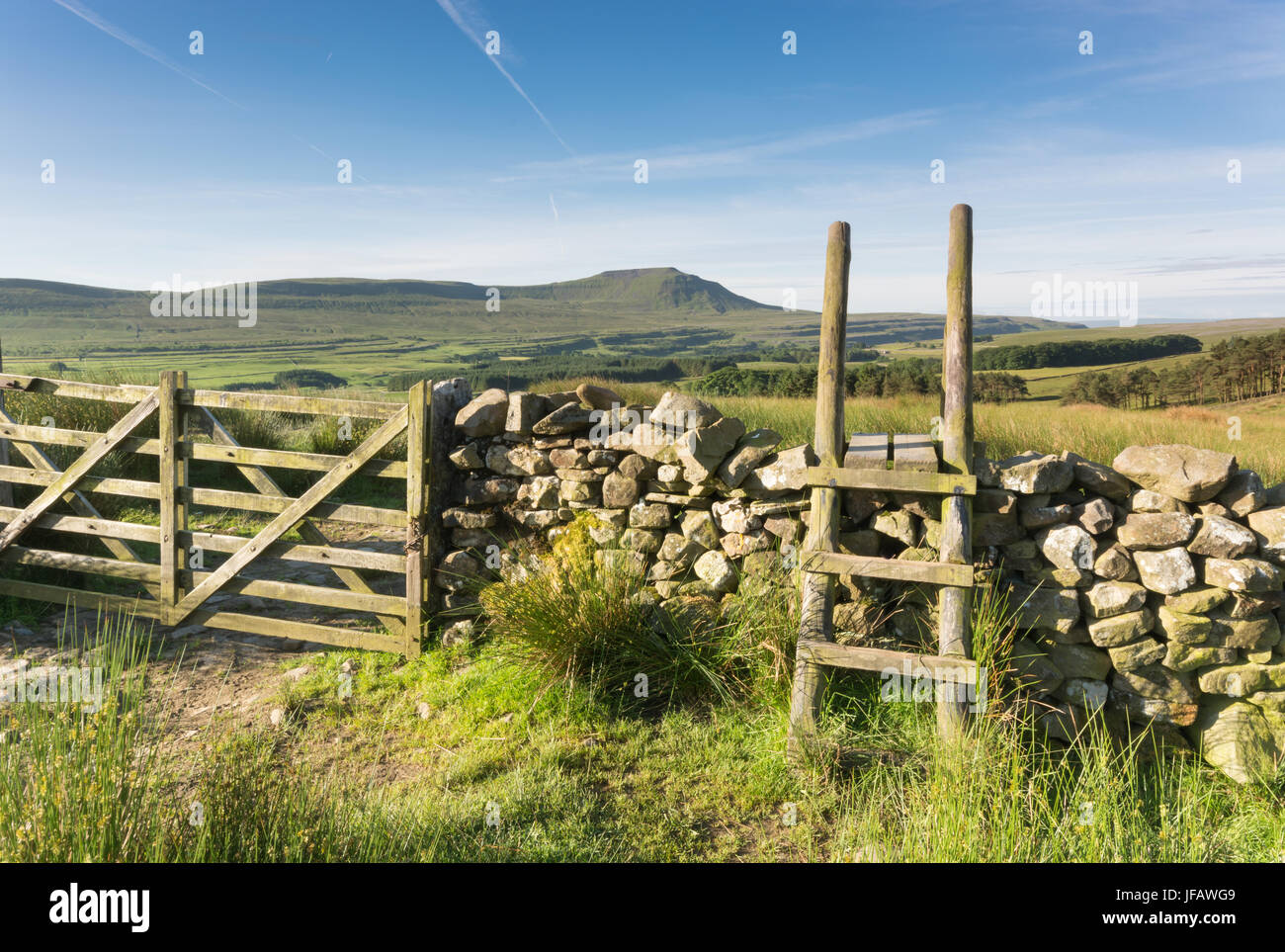 The 3 peaks path towards Ingleborough Stock Photo - Alamy