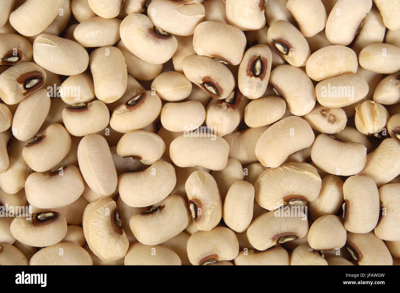 Full portrait of dry beans Stock Photo - Alamy