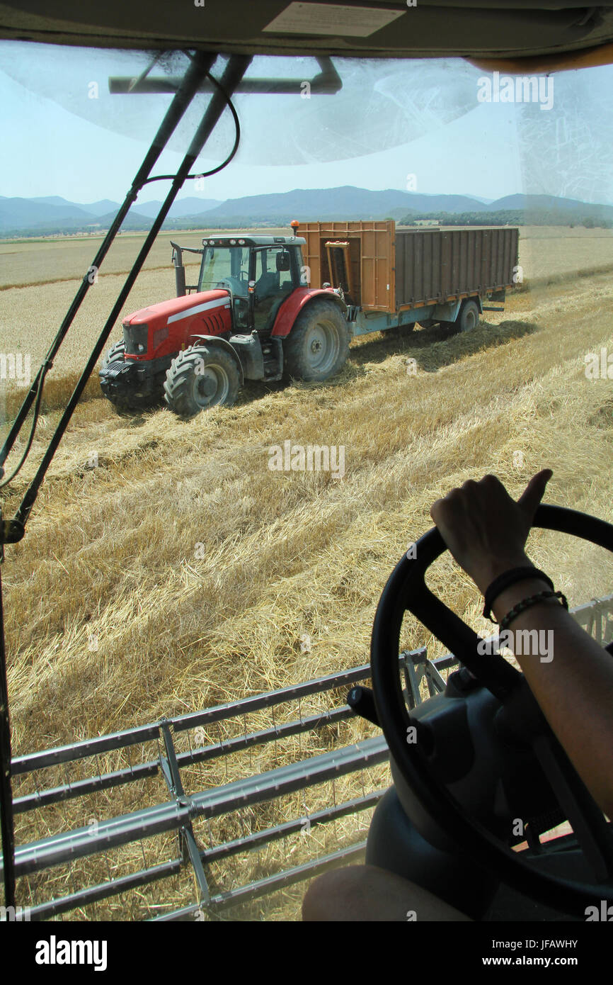 working in the field Stock Photo - Alamy