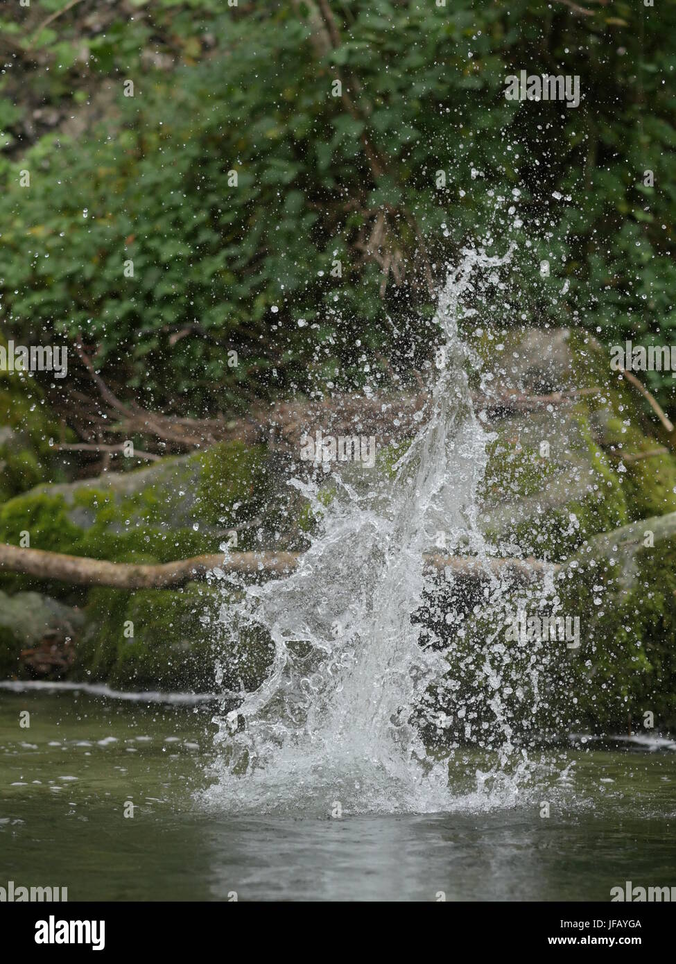 Close up view of water splash with many drops in some natural basin ...