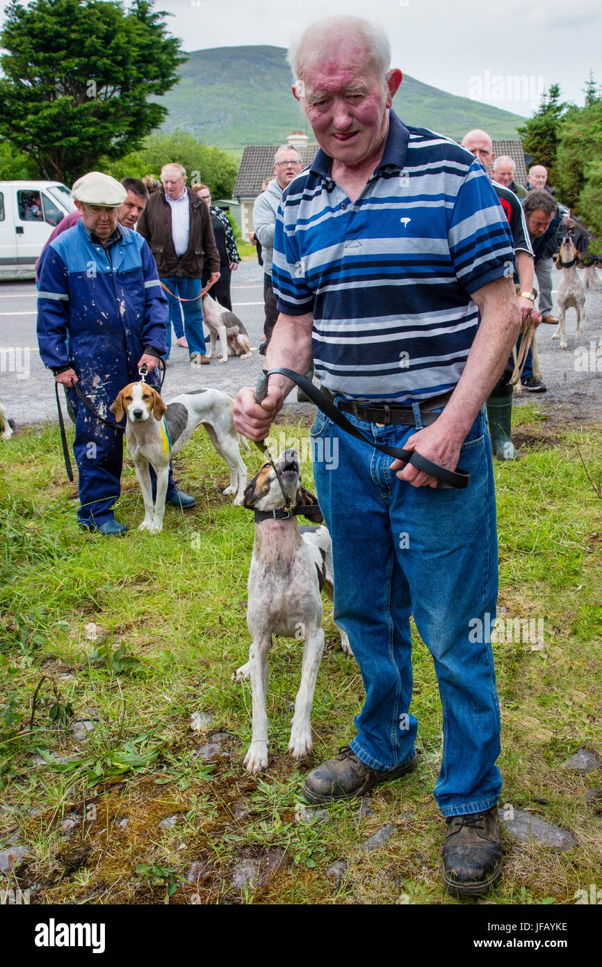Racing beagles hi-res stock photography and images - Alamy