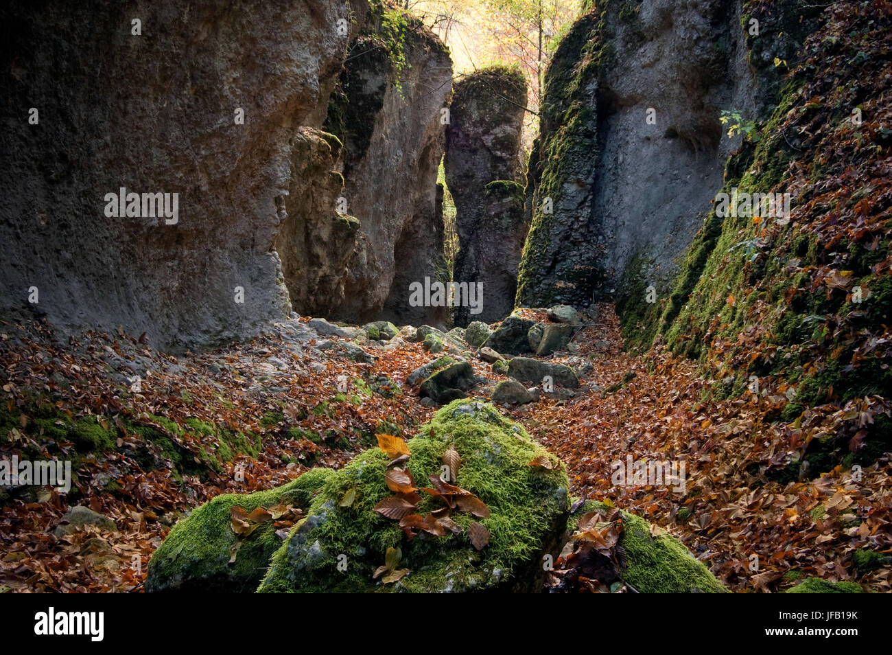 natural canyon with cliffs in forest Stock Photo - Alamy