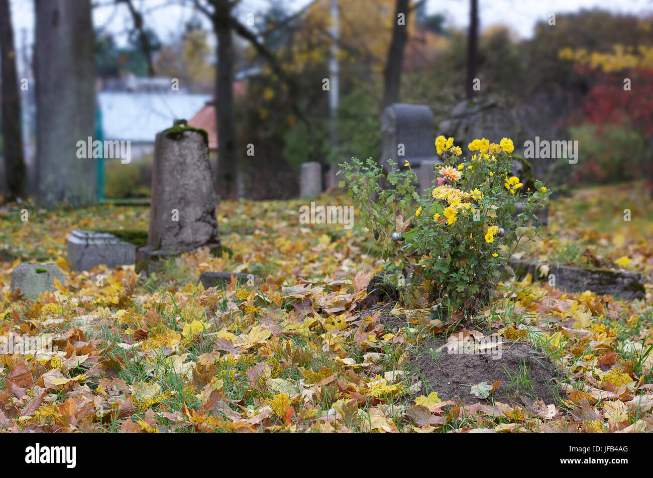 Old forgotten cemetery abandoned graves hi-res stock photography and ...