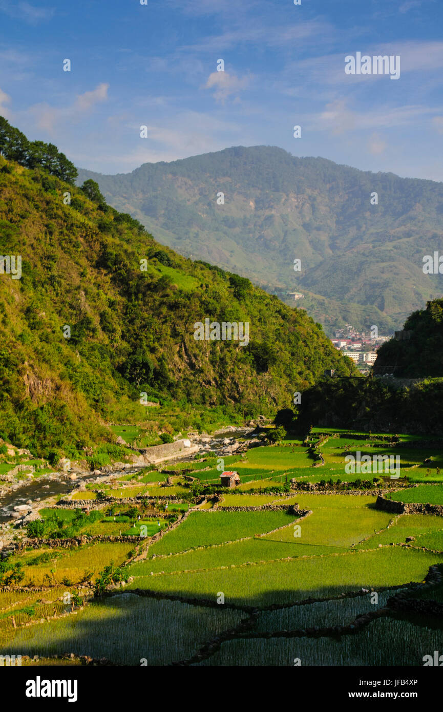 Along the rice terraces from Bontoc to Banaue, Luzon, Philippines Stock ...