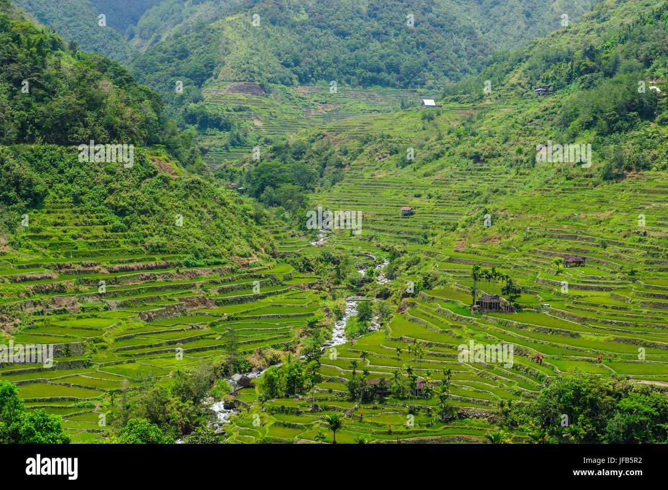 Hapao rice terraces part of the world heritage sight Banaue, Luzon ...