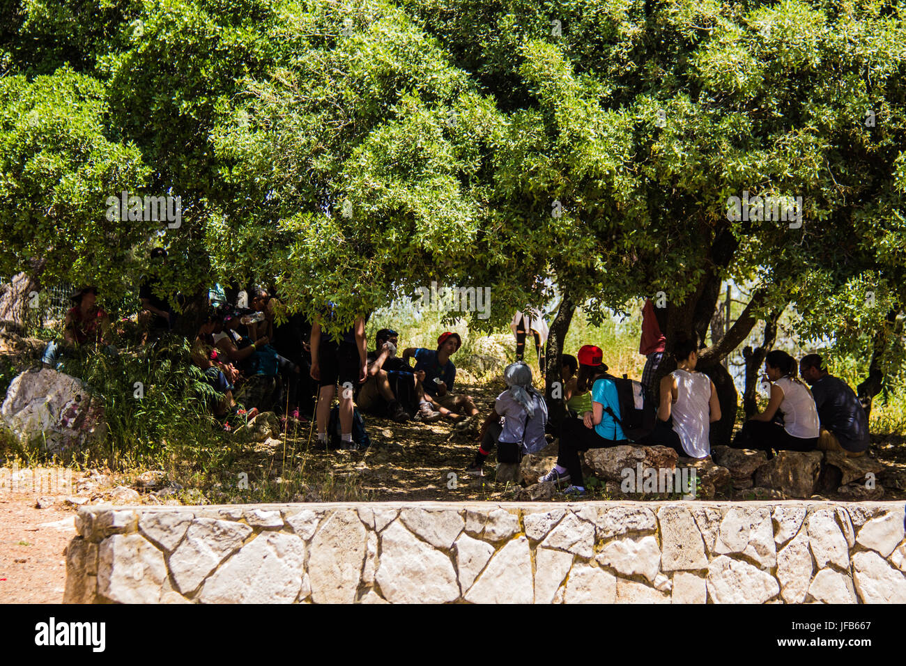 Carmel national park israel hi-res stock photography and images - Alamy