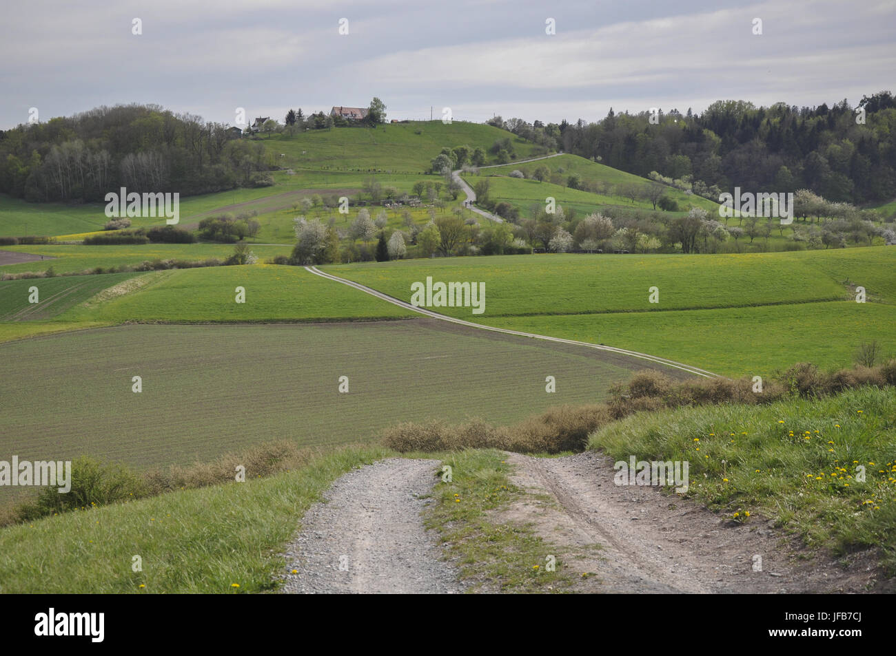 Michelbach an der bilz hi-res stock photography and images - Alamy