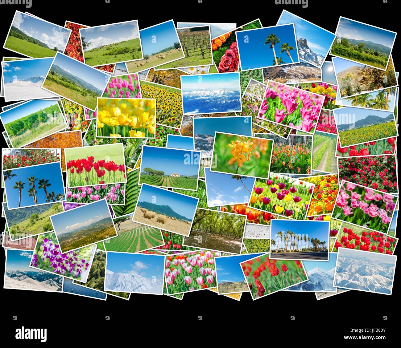 Collage of various nature photos Stock Photo - Alamy
