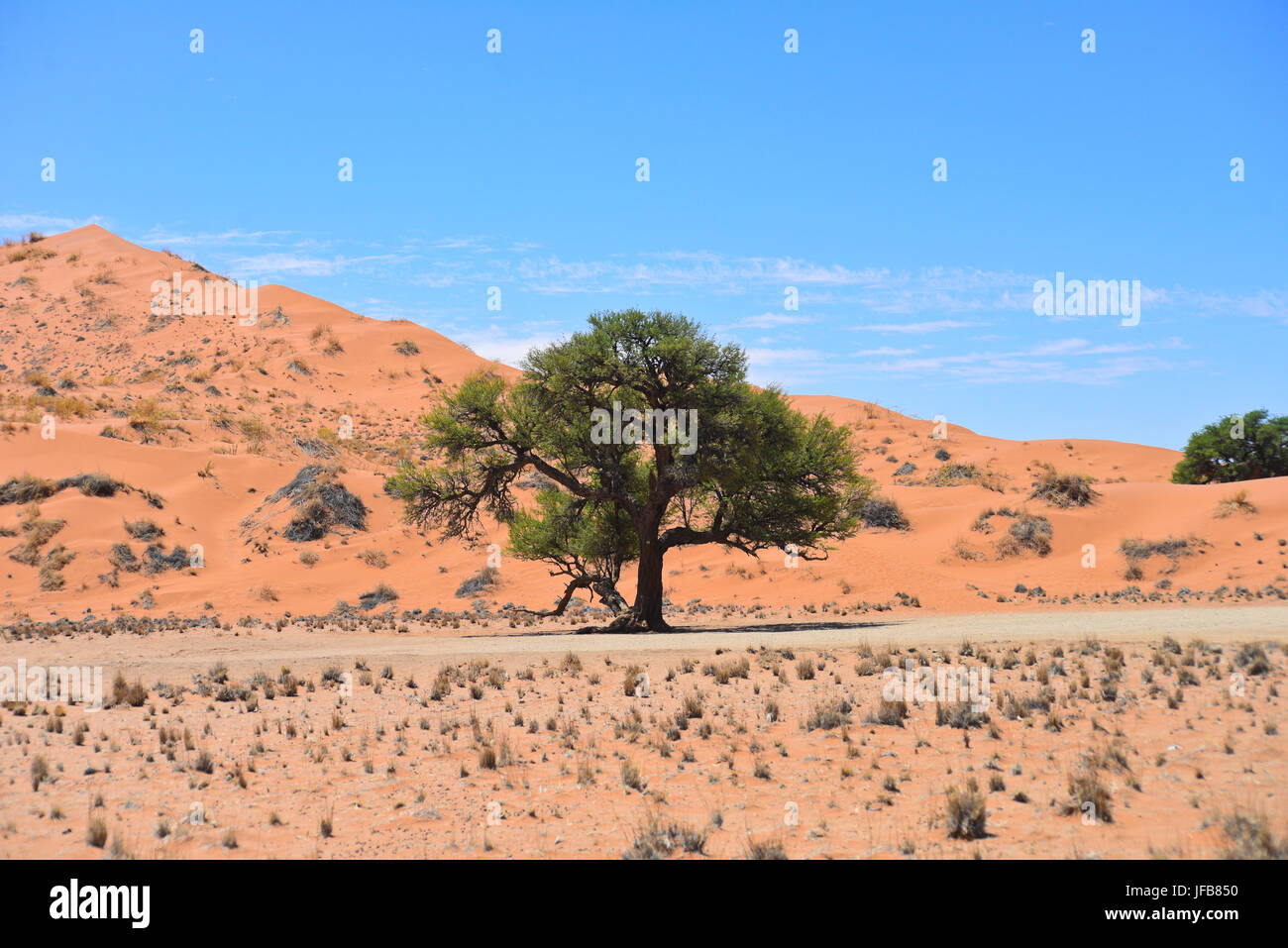 Landscapes in namibia hi-res stock photography and images - Alamy