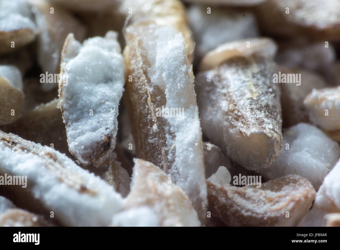 Ground macro hi-res stock photography and images - Alamy