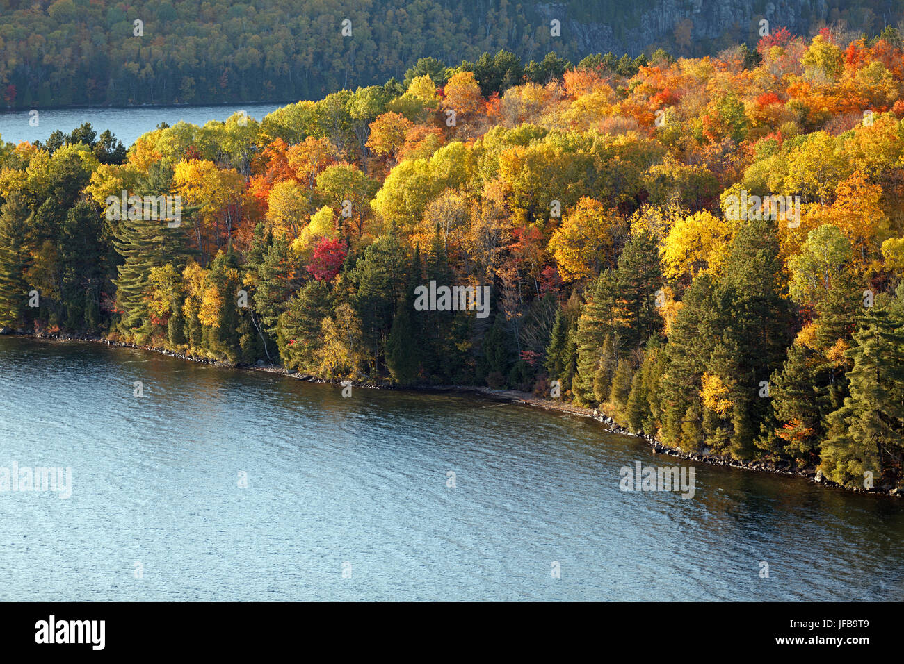 Canadian fall foliage Stock Photo - Alamy