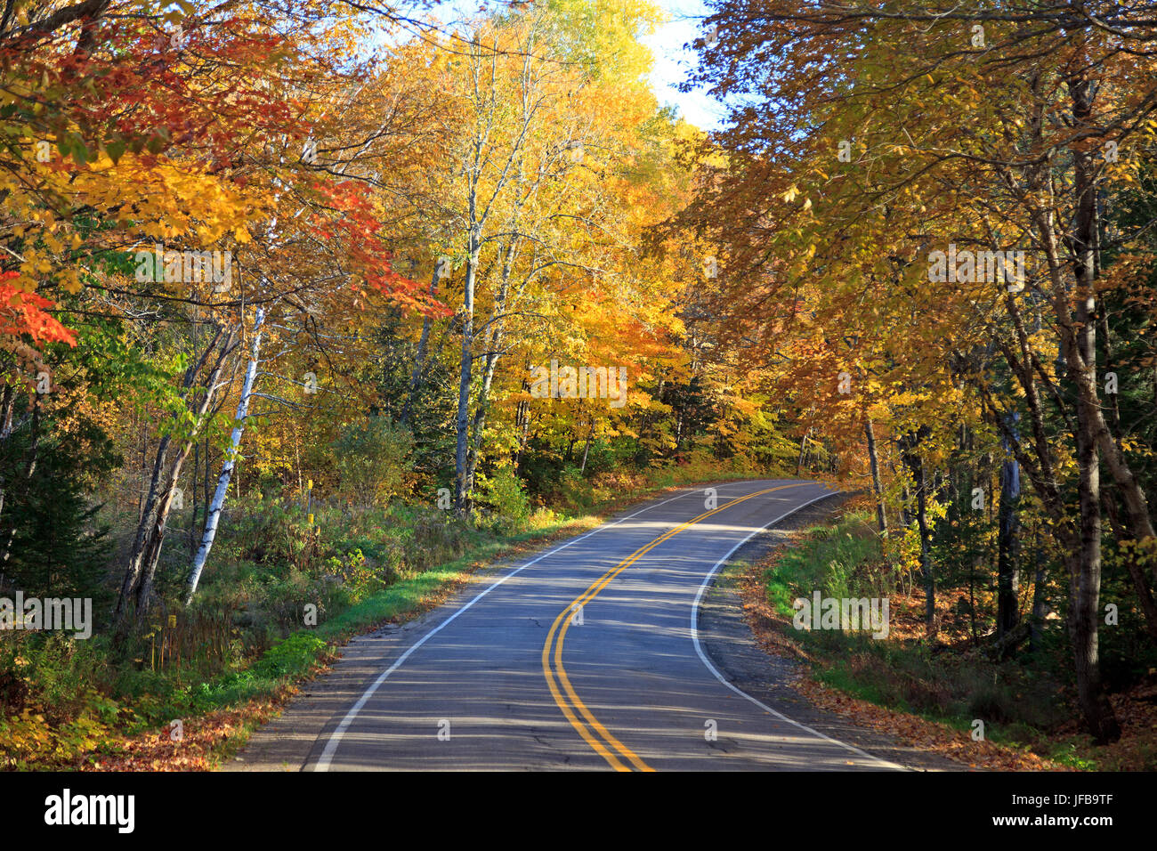 Street through Canadian fall foliage Stock Photo - Alamy