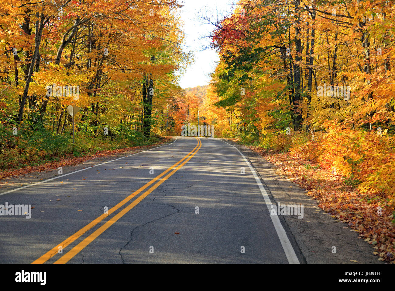 Street through Canadian fall foliage Stock Photo - Alamy