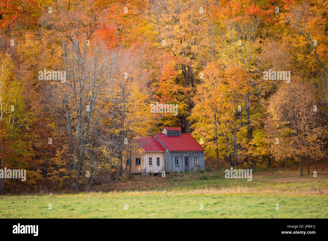 Old farm in Canada among colored trees Stock Photo - Alamy