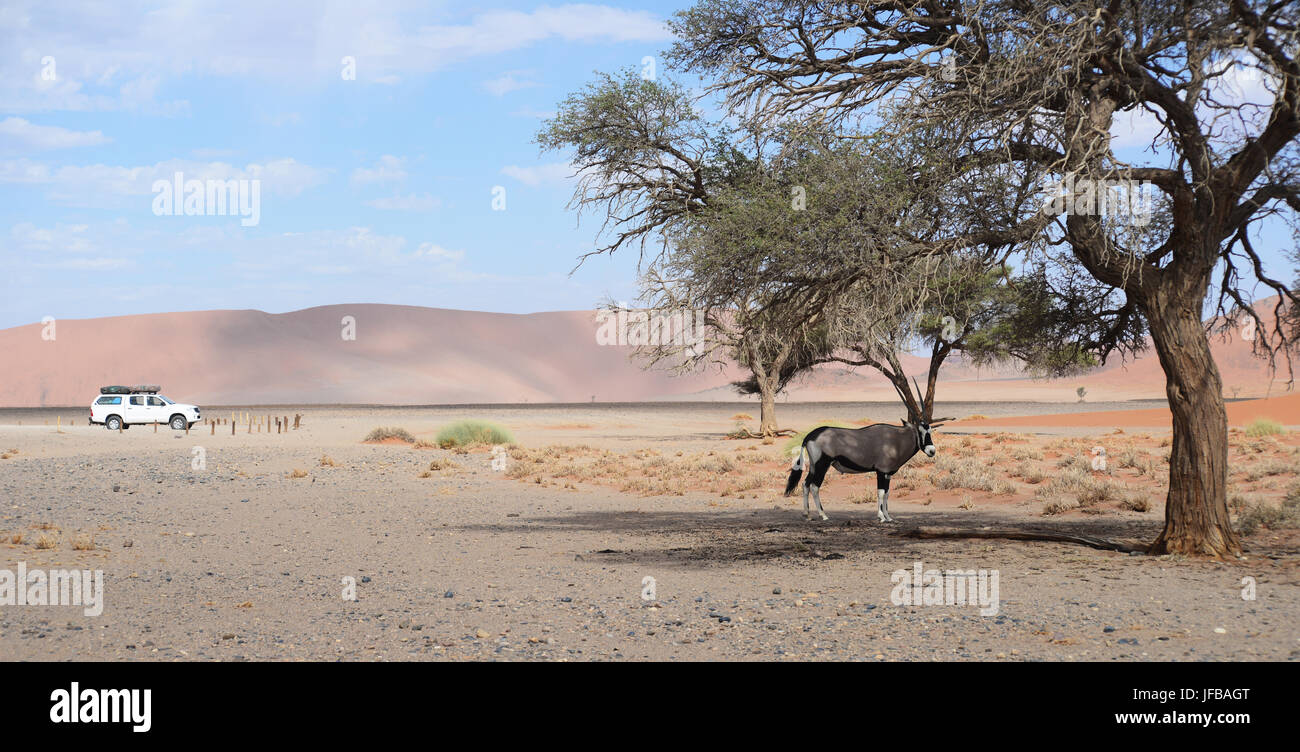 Namibian adventure tourism hi-res stock photography and images - Alamy