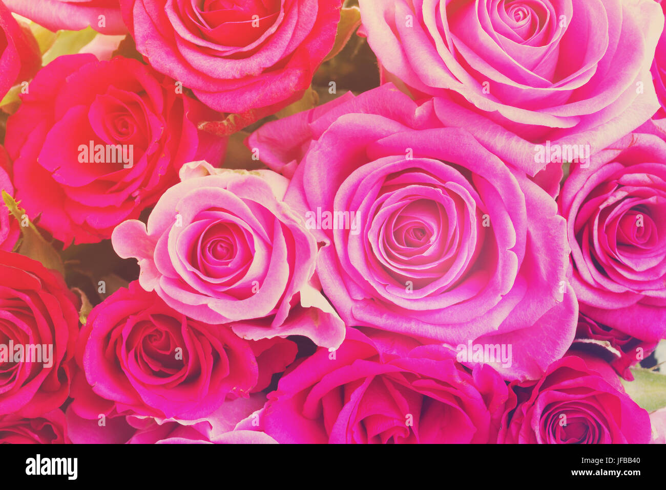 round bouquet of pink and magenta roses close up background, retro ...