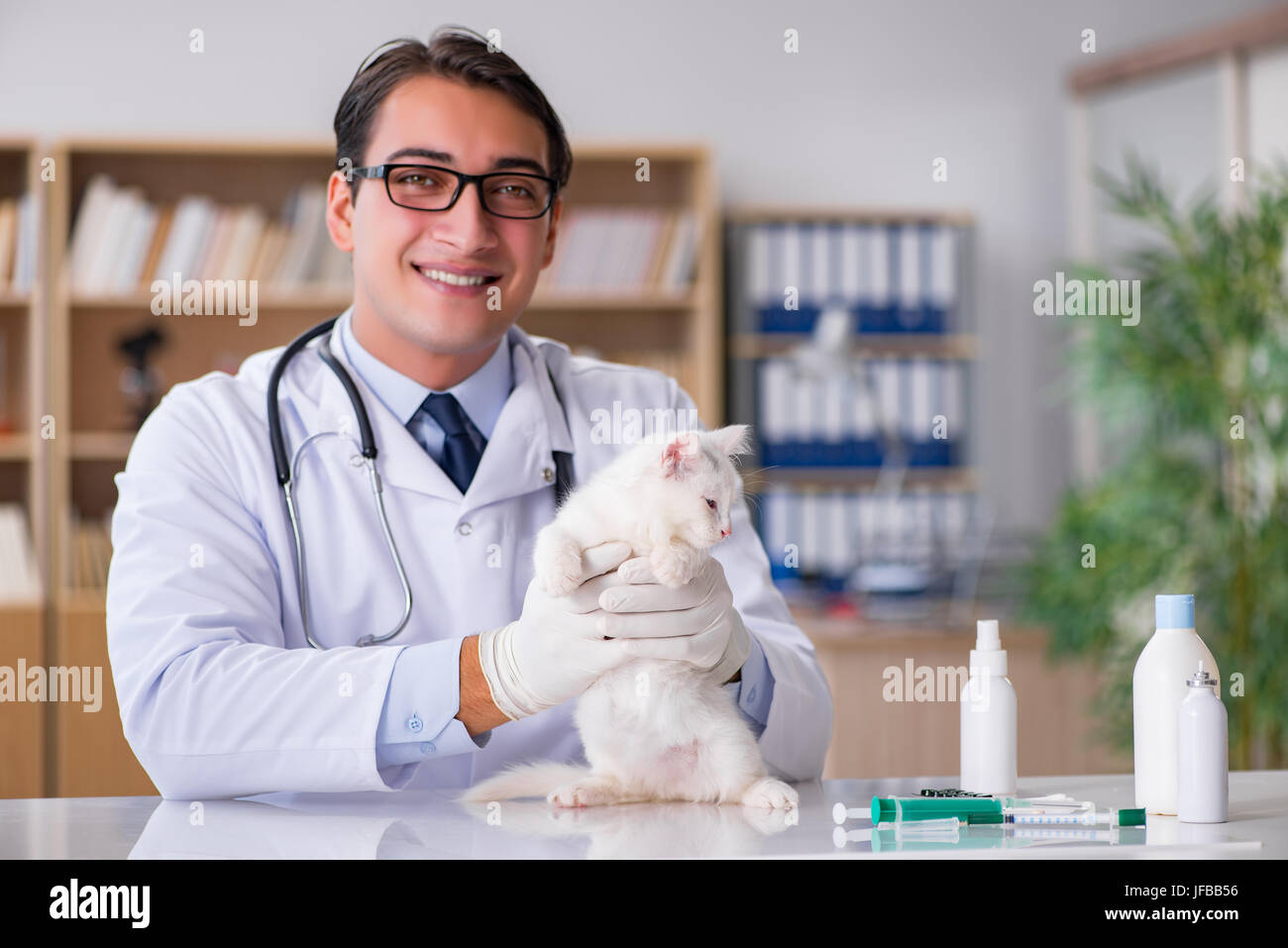 White kitten visiting vet for check up Stock Photo - Alamy
