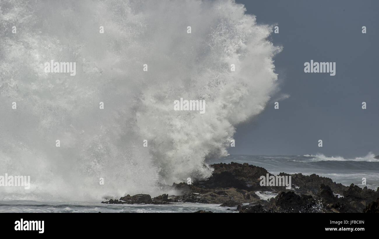 Wind breaks hi-res stock photography and images - Alamy