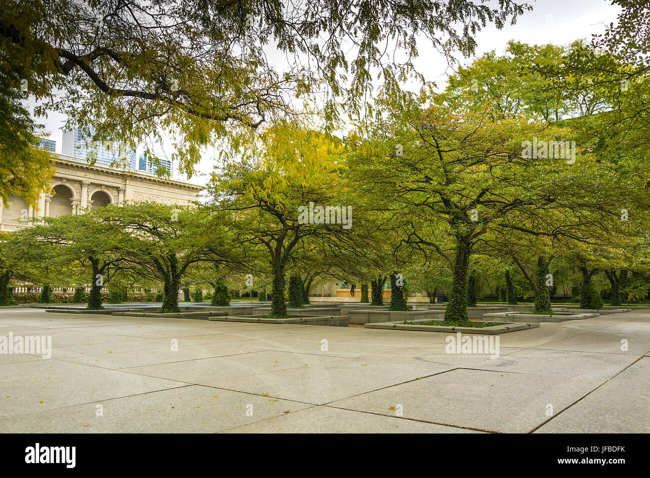 Hawthorn tree ancient tree hi-res stock photography and images - Alamy