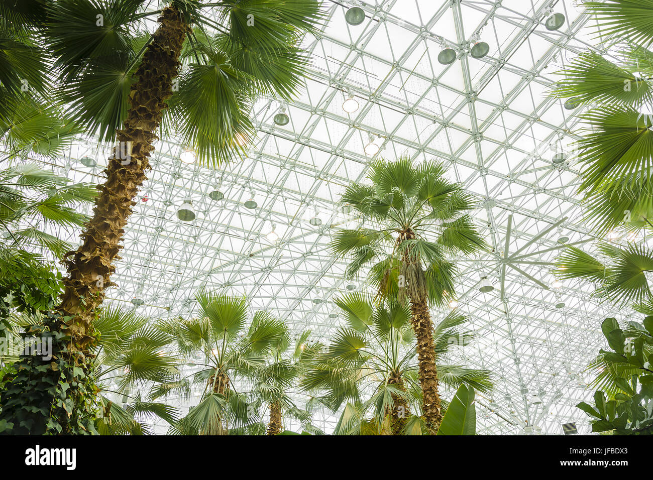 Palm house in Chicago Stock Photo - Alamy