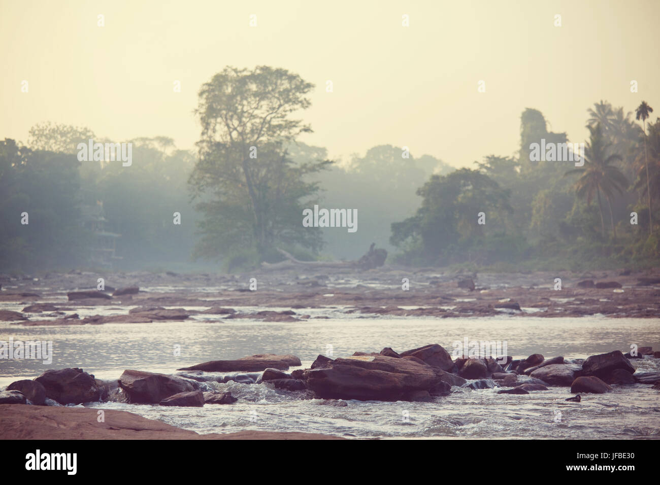 River in jungle Stock Photo - Alamy