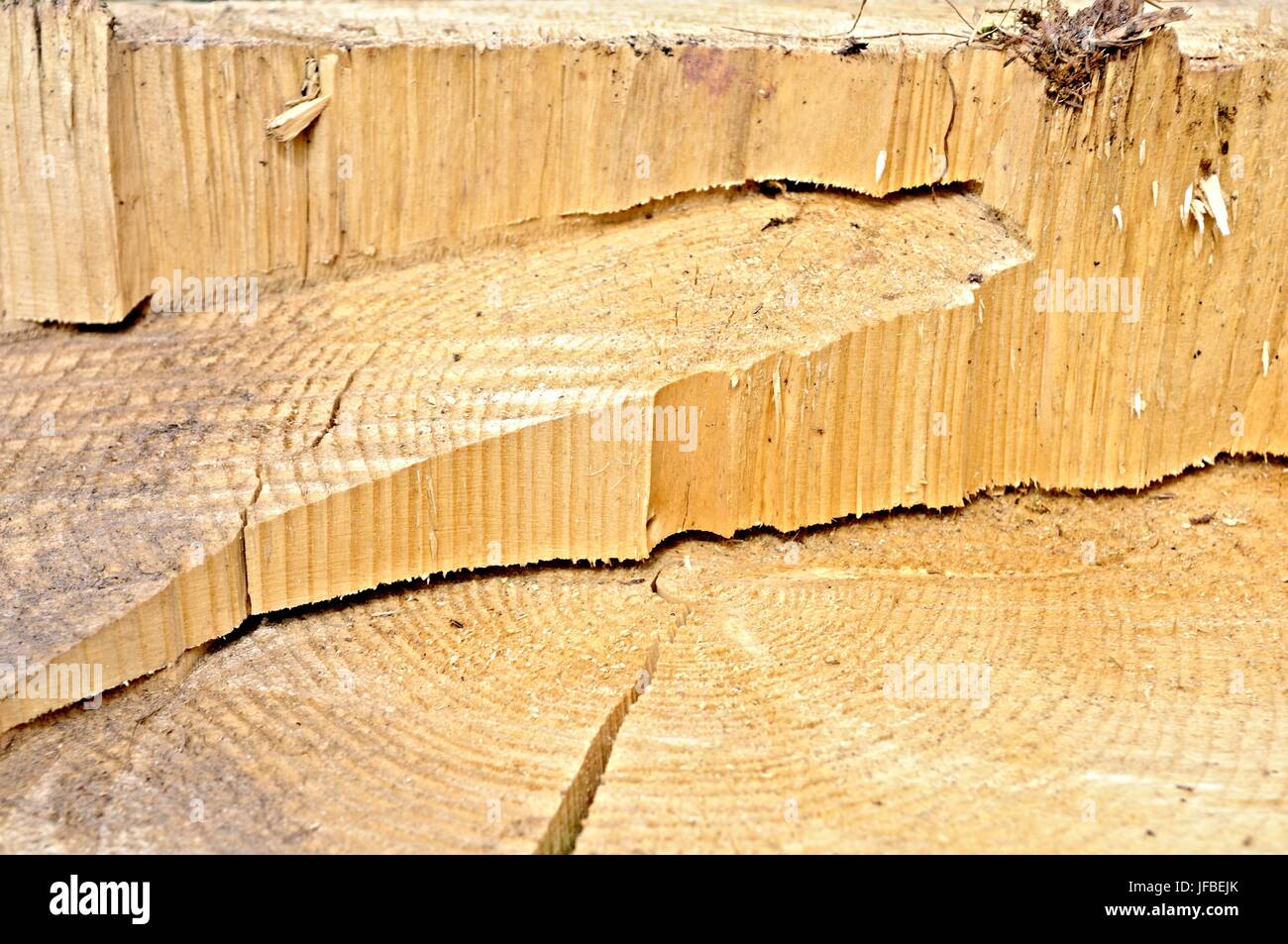 Sawn log High Resolution Stock Photography and Images - Alamy