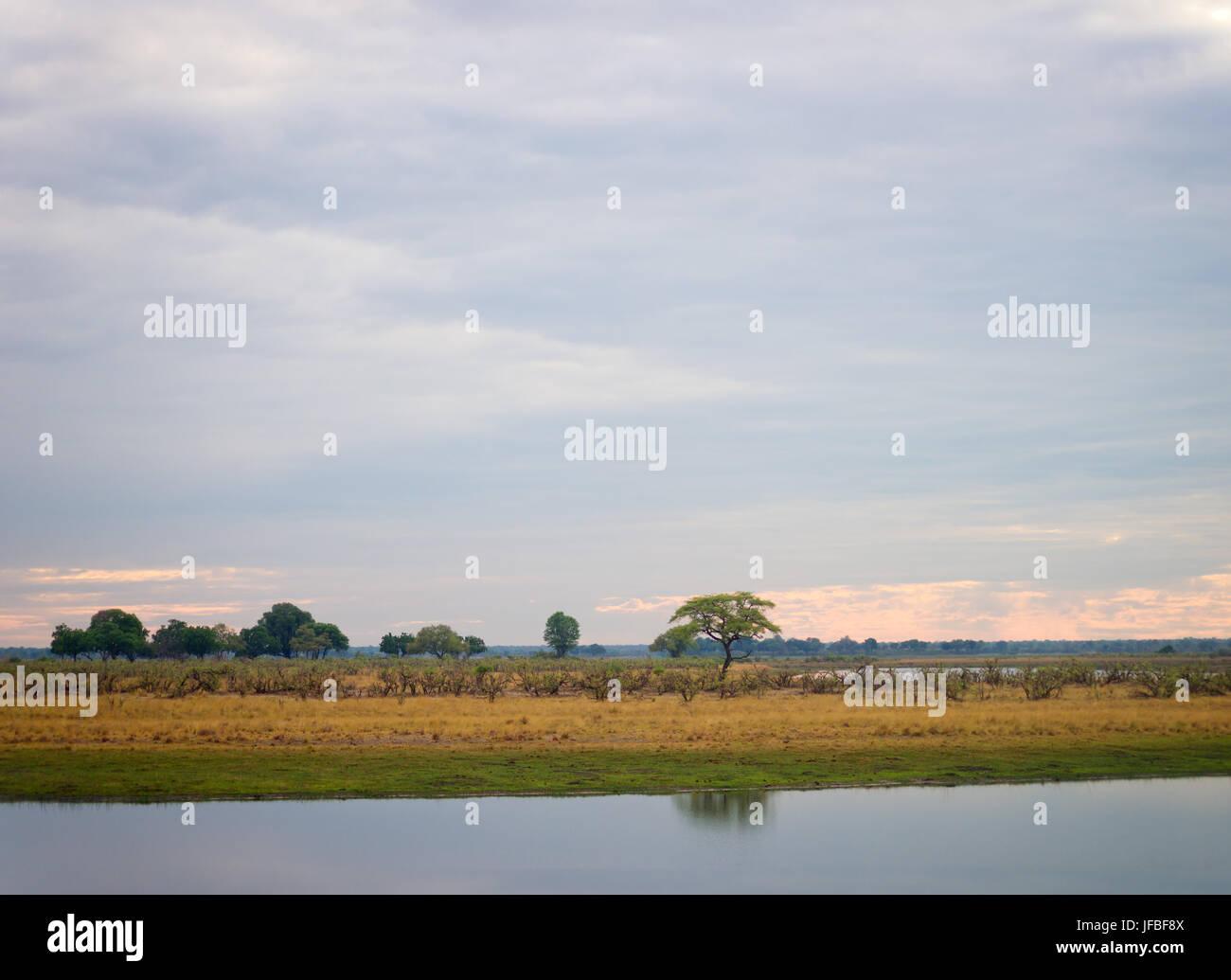 Savannah in the morning hi-res stock photography and images - Alamy