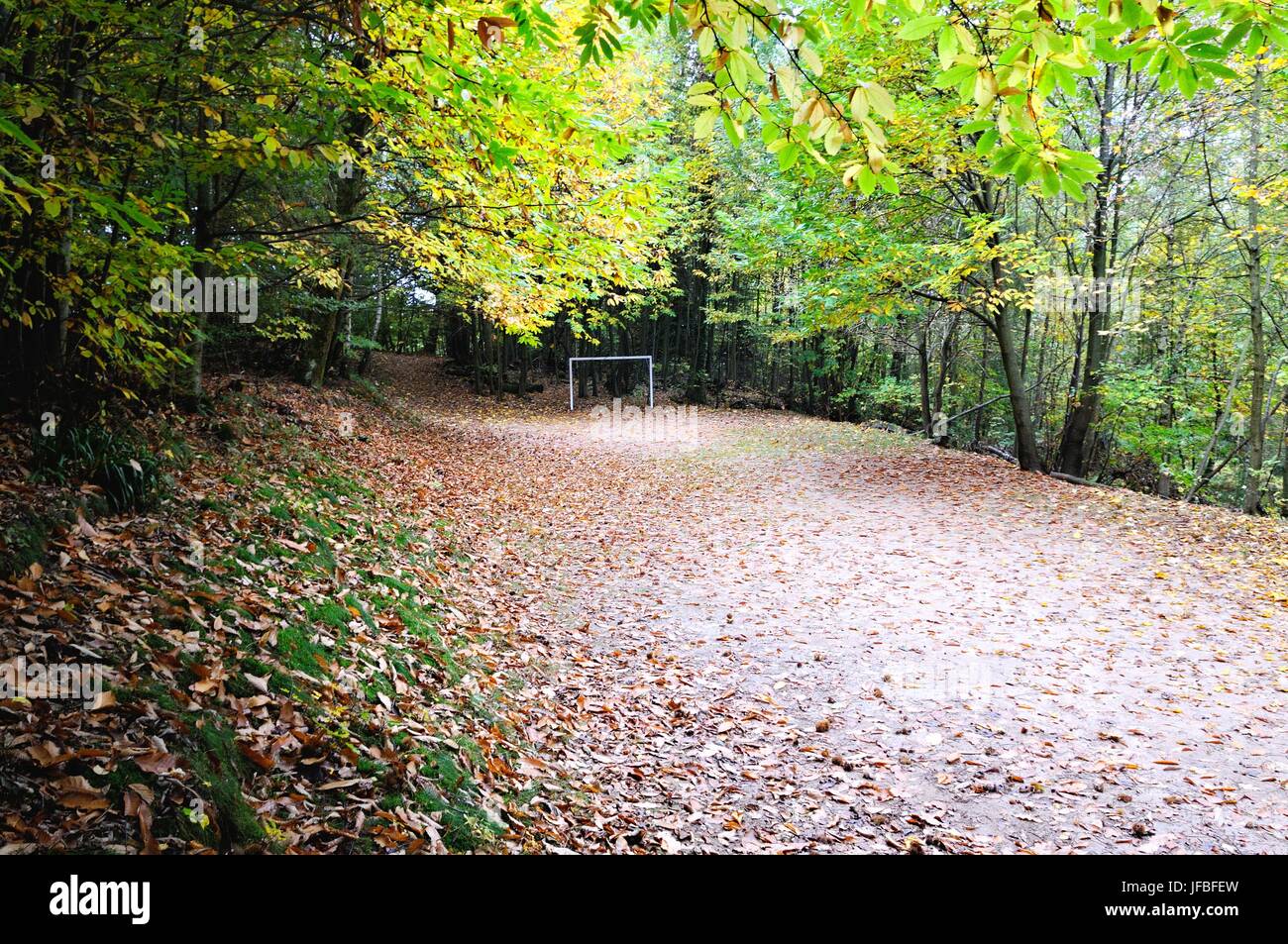 Football field in the forest Stock Photo - Alamy