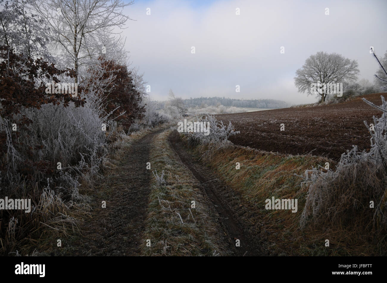 Field track, White Frost, Fog Stock Photo - Alamy
