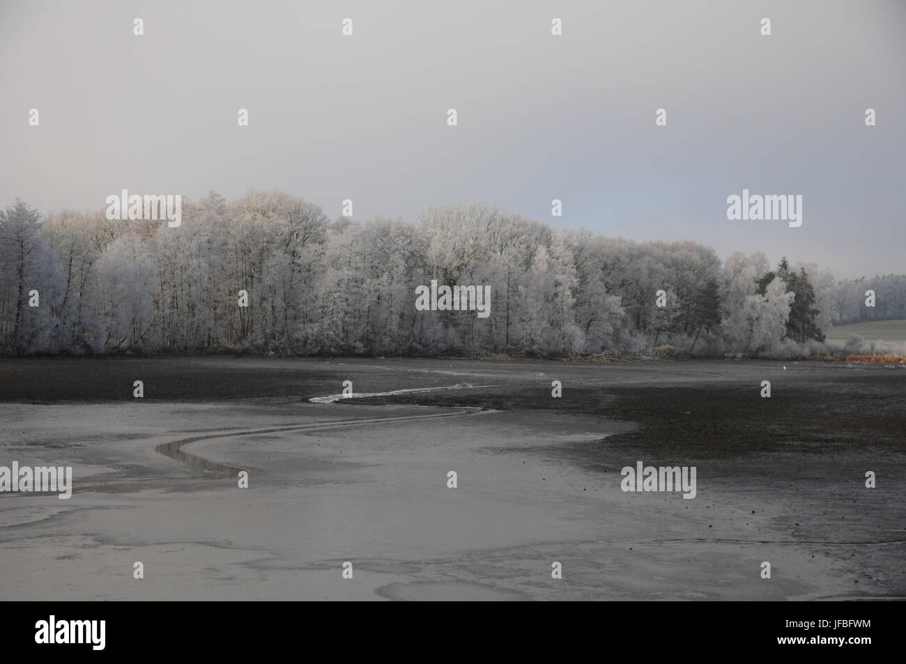 Frost fish hi-res stock photography and images - Alamy