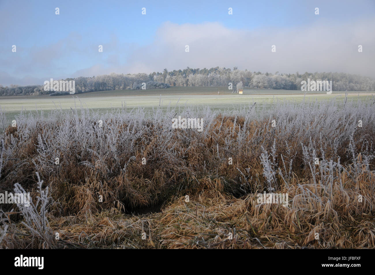 Meadow, White Frost, Fog Stock Photo - Alamy