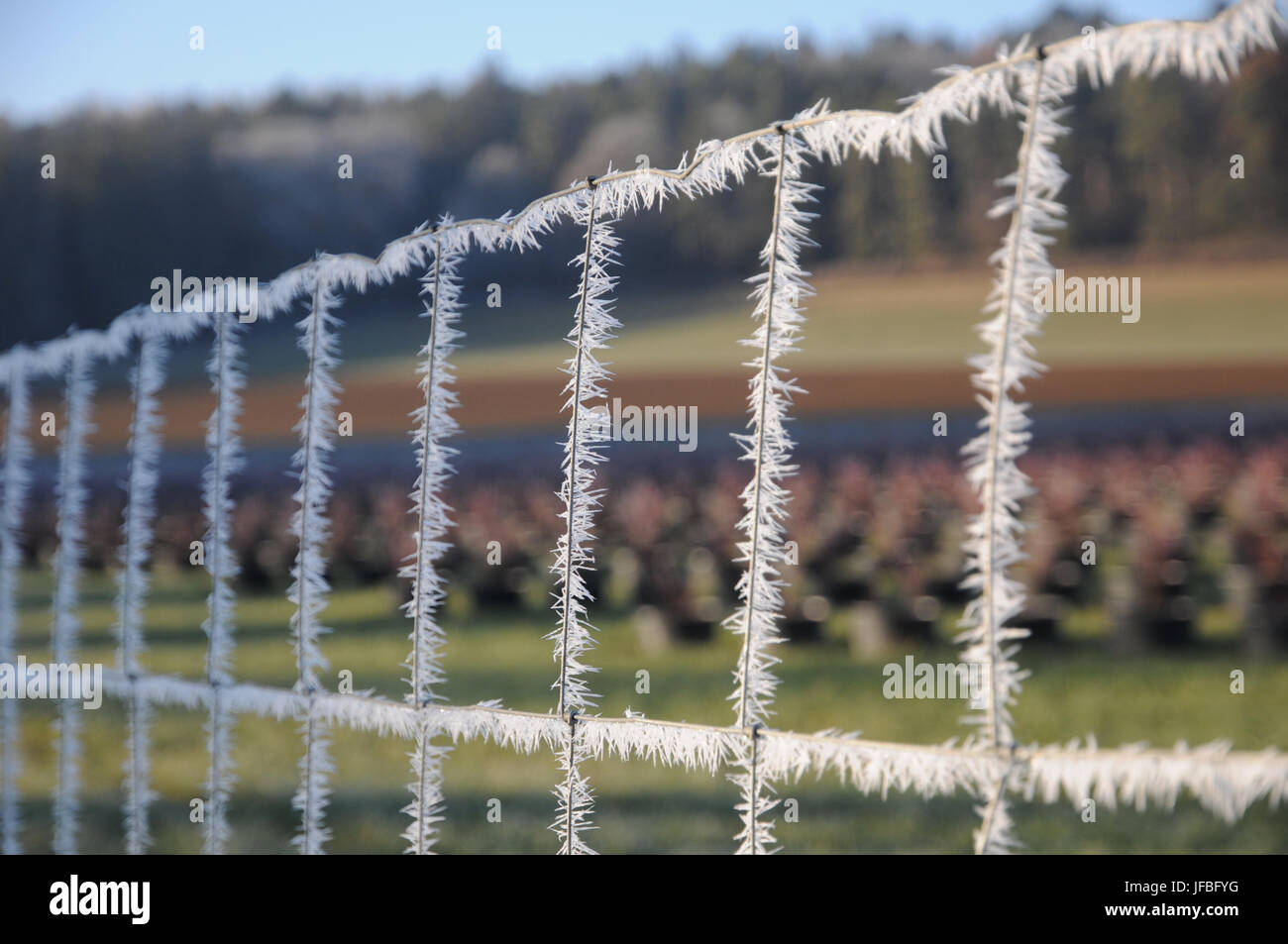 Protecting fences hi-res stock photography and images - Alamy