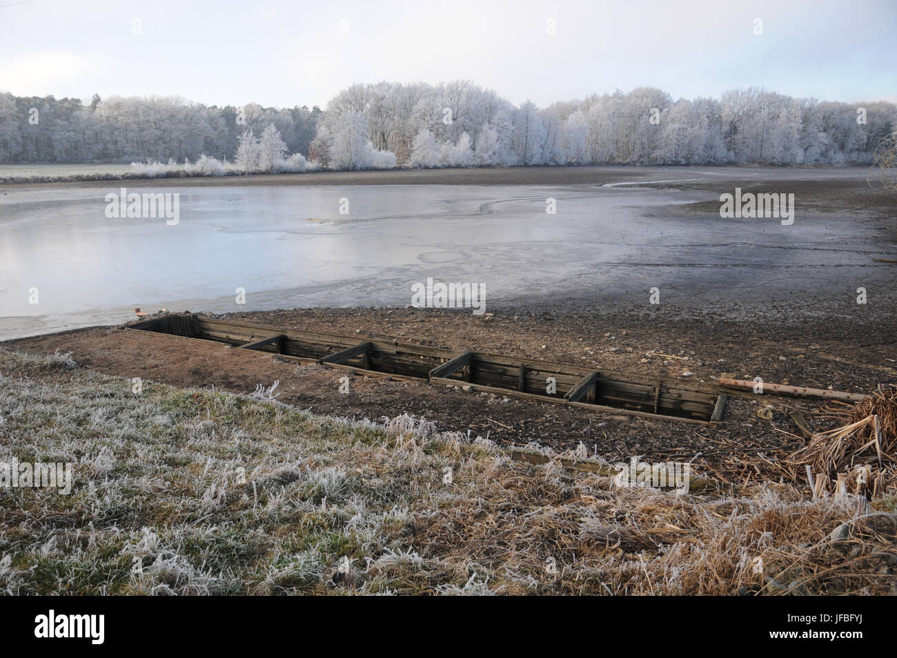 Garden fish pond ice hi-res stock photography and images - Alamy